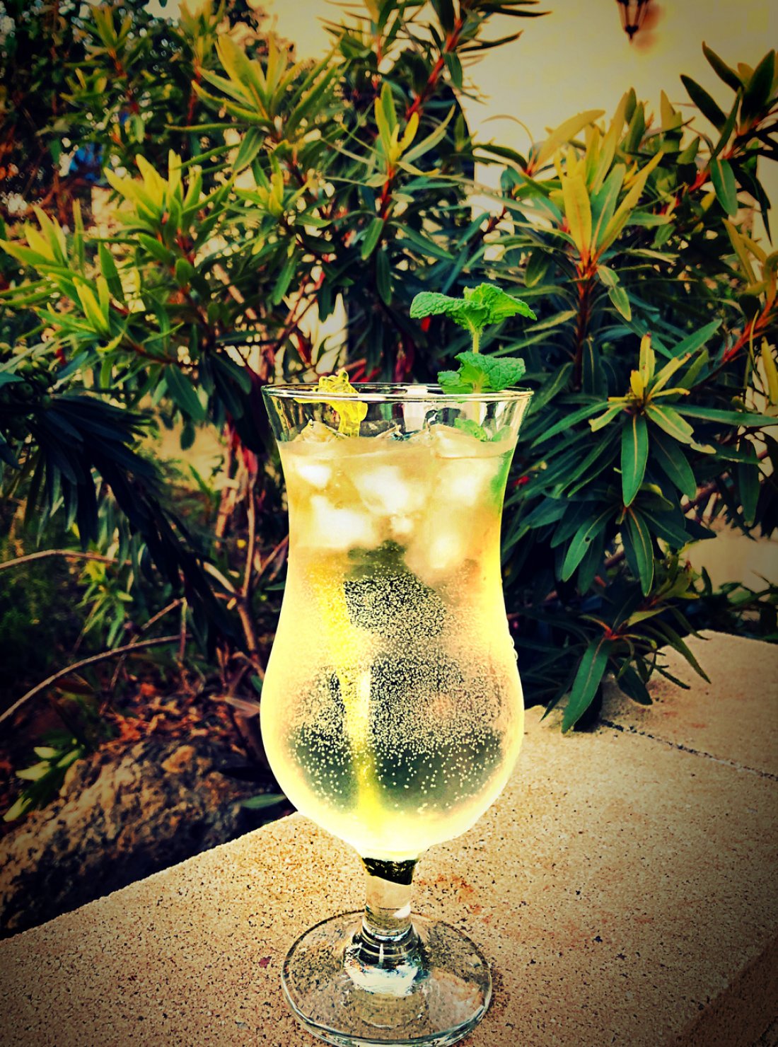 Recipes | Castle Glen Australia